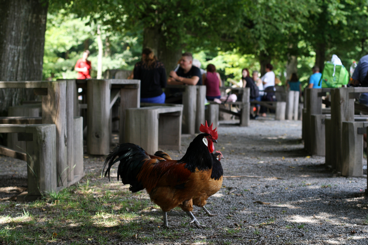 Wildtierpark Bad Mergentheim - Route der Genüsse